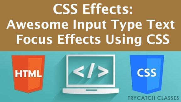 Awesome Input Type Text Focus Effects Using CSS - TryCatch Classes